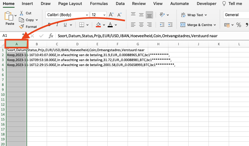 ¿Cómo formatear un archivo CSV en Excel? – BTC Direct - Spanish